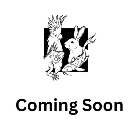 Boarding Intake Form | Avian And Exotic Animal Care