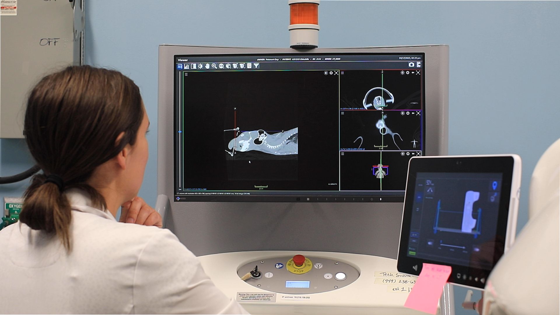 Imaging In Raleigh, NC 27617 | Avian And Exotic Animal Care