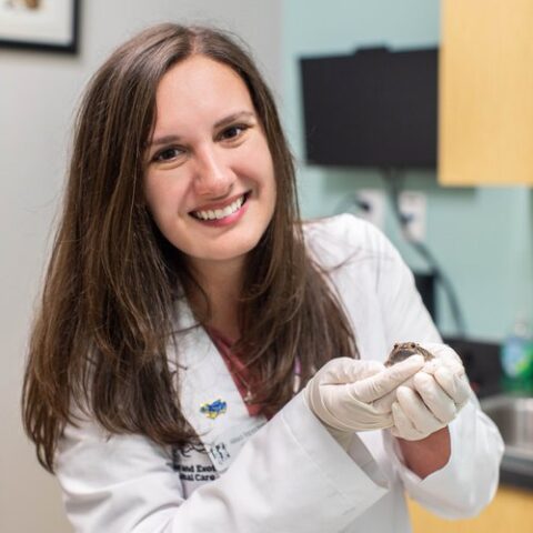 Veterinarian In Raleigh, NC 27617 | Avian And Exotic Animal Care