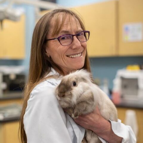 Veterinarian In Raleigh, NC 27617 | Avian And Exotic Animal Care