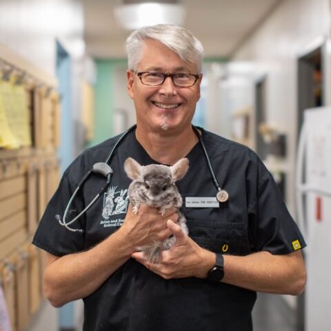 Veterinarian In Raleigh, NC 27617 | Avian And Exotic Animal Care