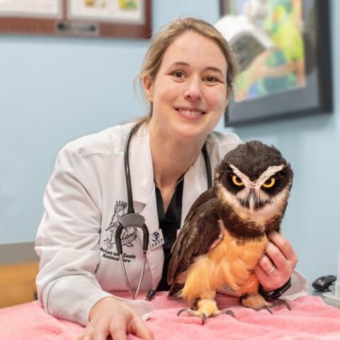 Veterinarian In Raleigh, NC 27617 | Avian And Exotic Animal Care