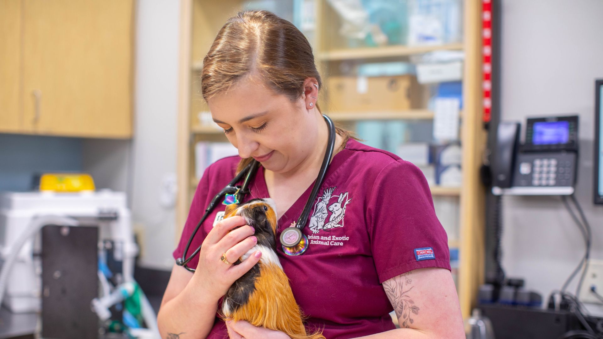Veterinarian In Raleigh, NC 27617 | Avian And Exotic Animal Care